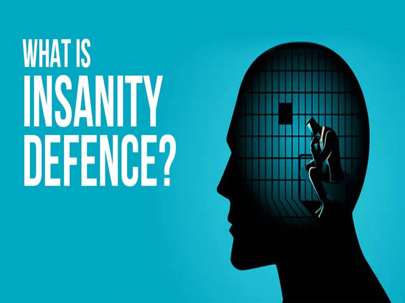 INSANITY AS A DEFENSE - Jus Corpus